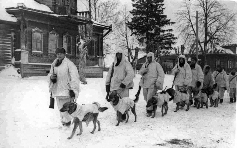 The Myth of Soviet Anti-Tank Dogs (1941-1945) – SANGHA KOMMUNE (SSR)