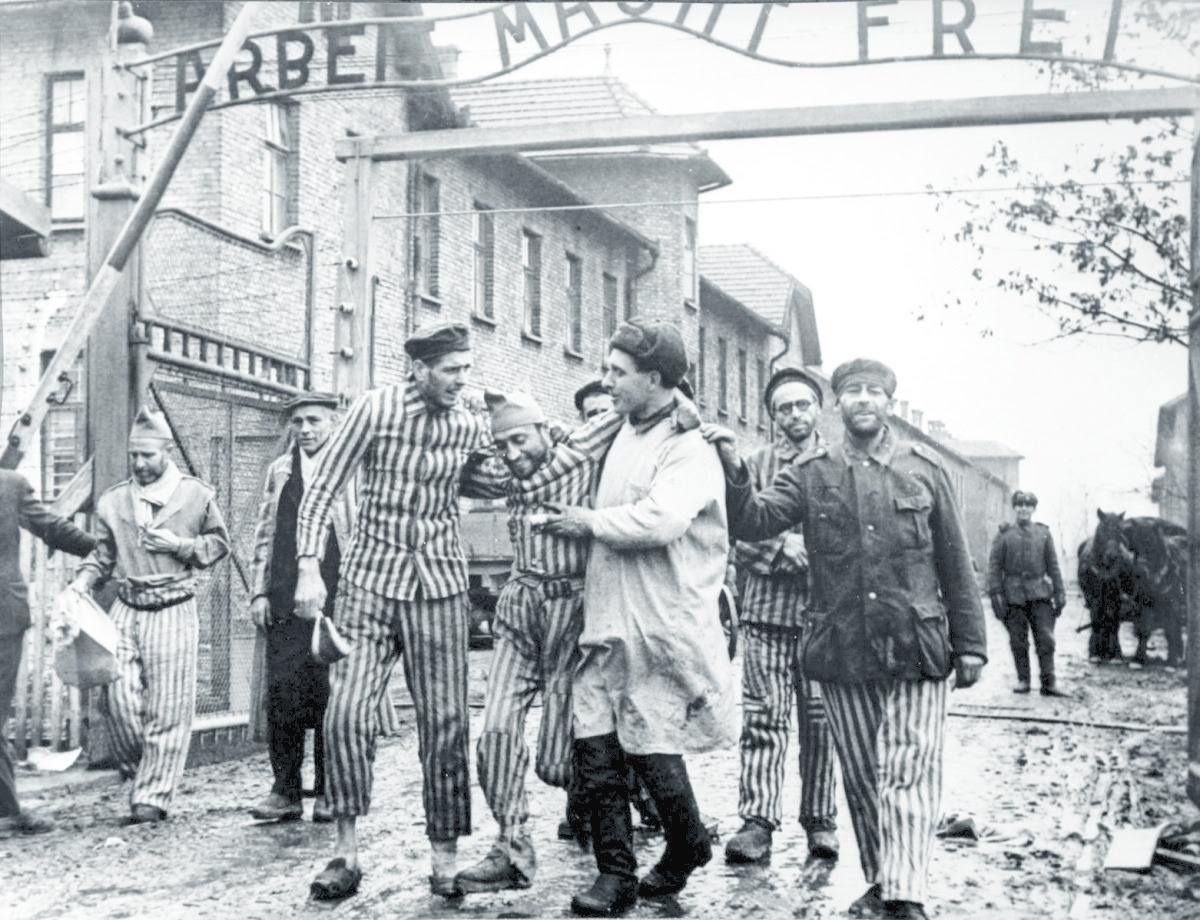 The Politics of “Genocide” – Making Sense of the Nazi German Killing ...